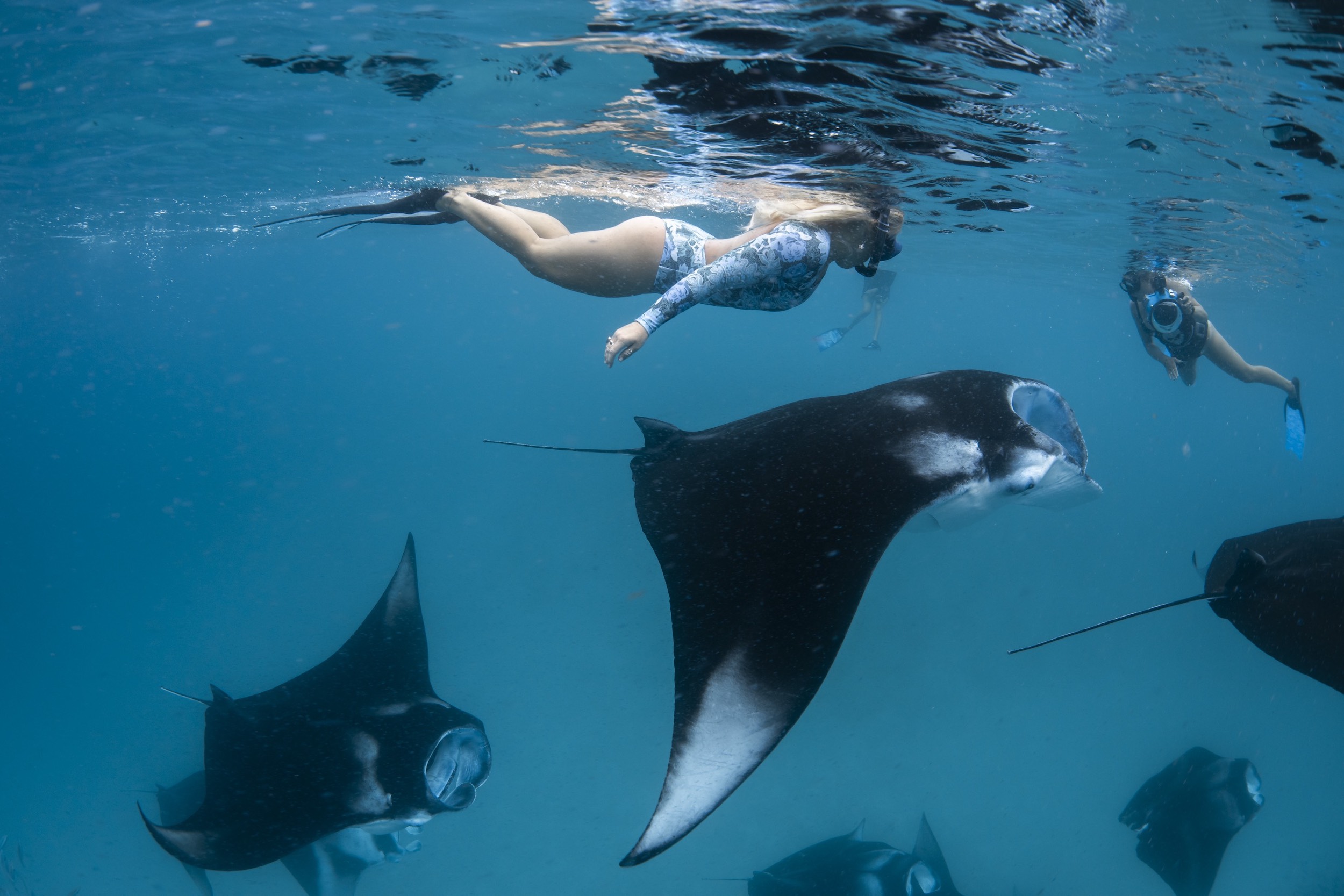 Manta Ray Watching > Triton Hotels & Tours